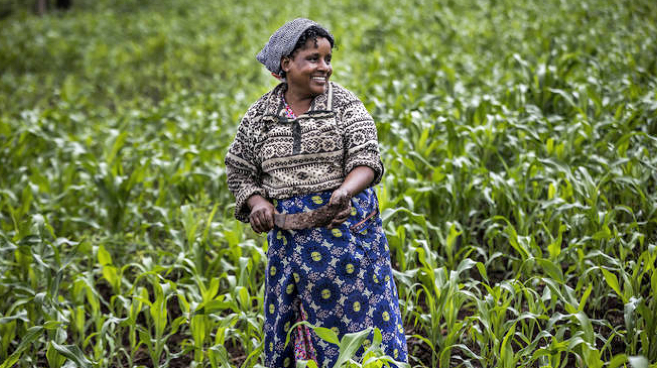 Agricultural Production Grew By 5 6 Percent In The Year 2021 2022 Ver